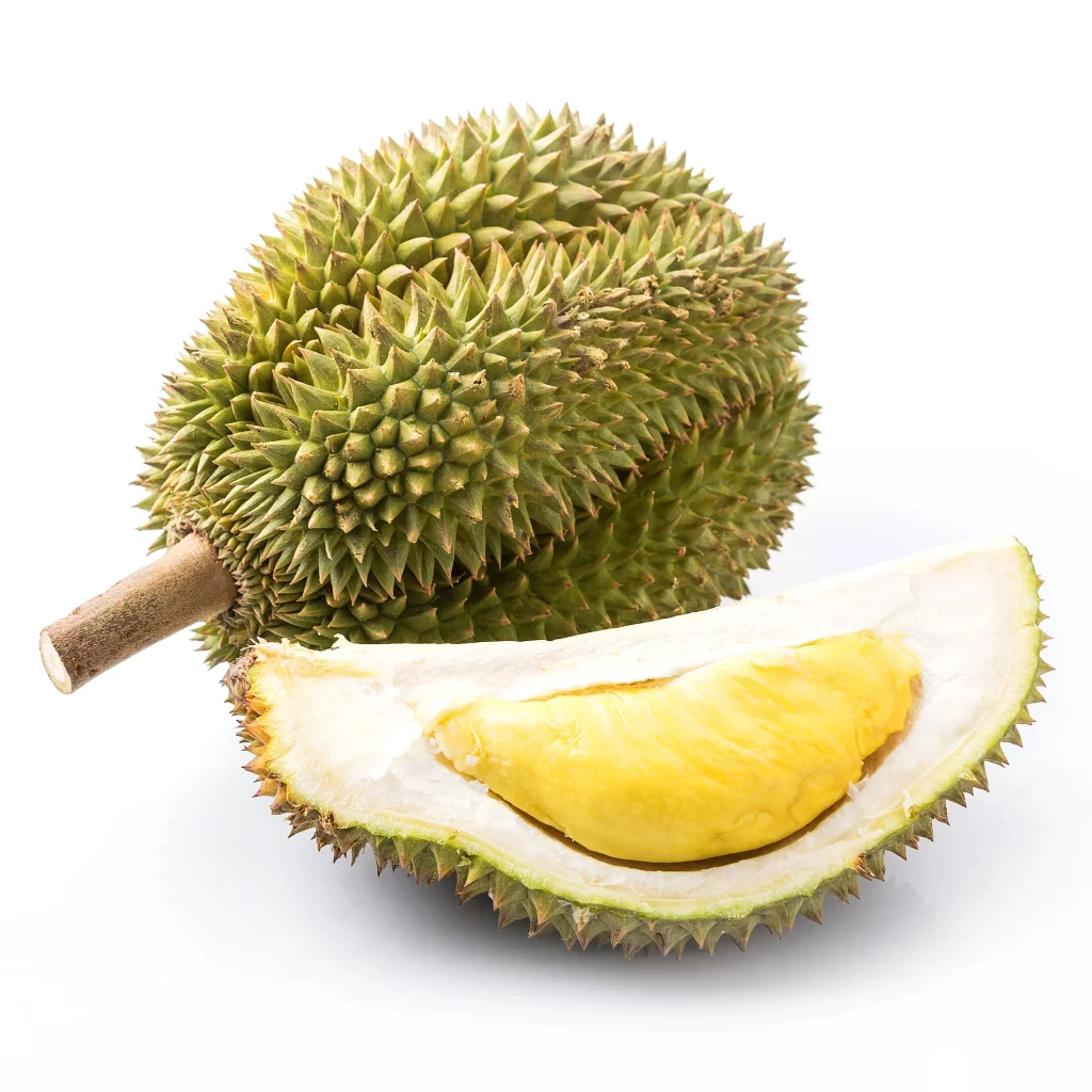 Durian Montong – INALUM Conservation